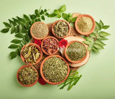 Single Herbs – Nutridig Healthcare